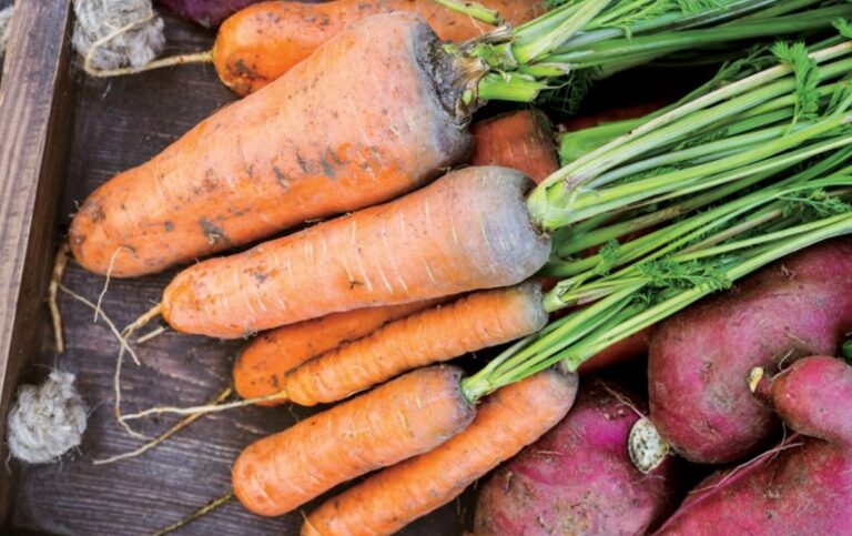 Are Food Additives Messing With Your Hormones?